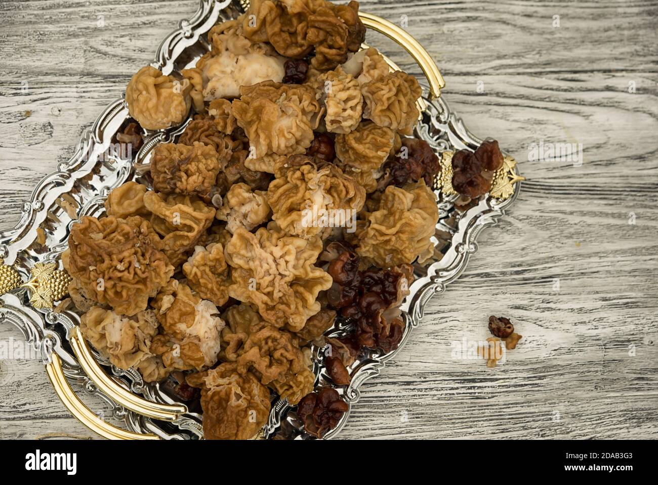Gyromitra gigas, commonly known as the snow morel, snow false morel ...