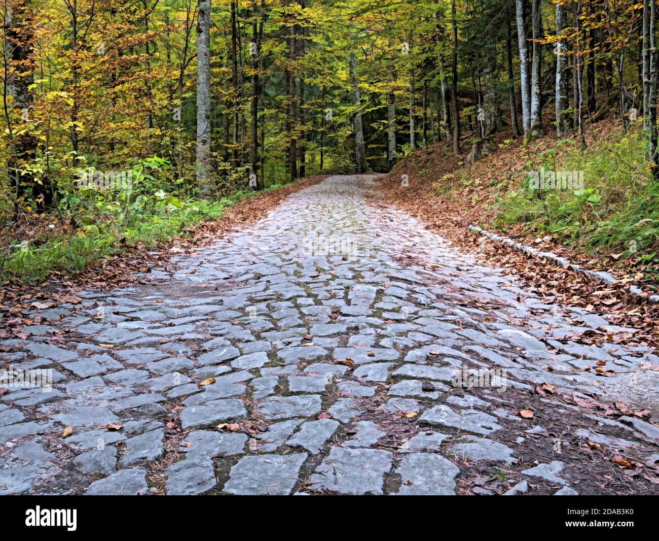 Cobblestone hiking path called Royal Path (Poteca Regala) in Sinaia ...