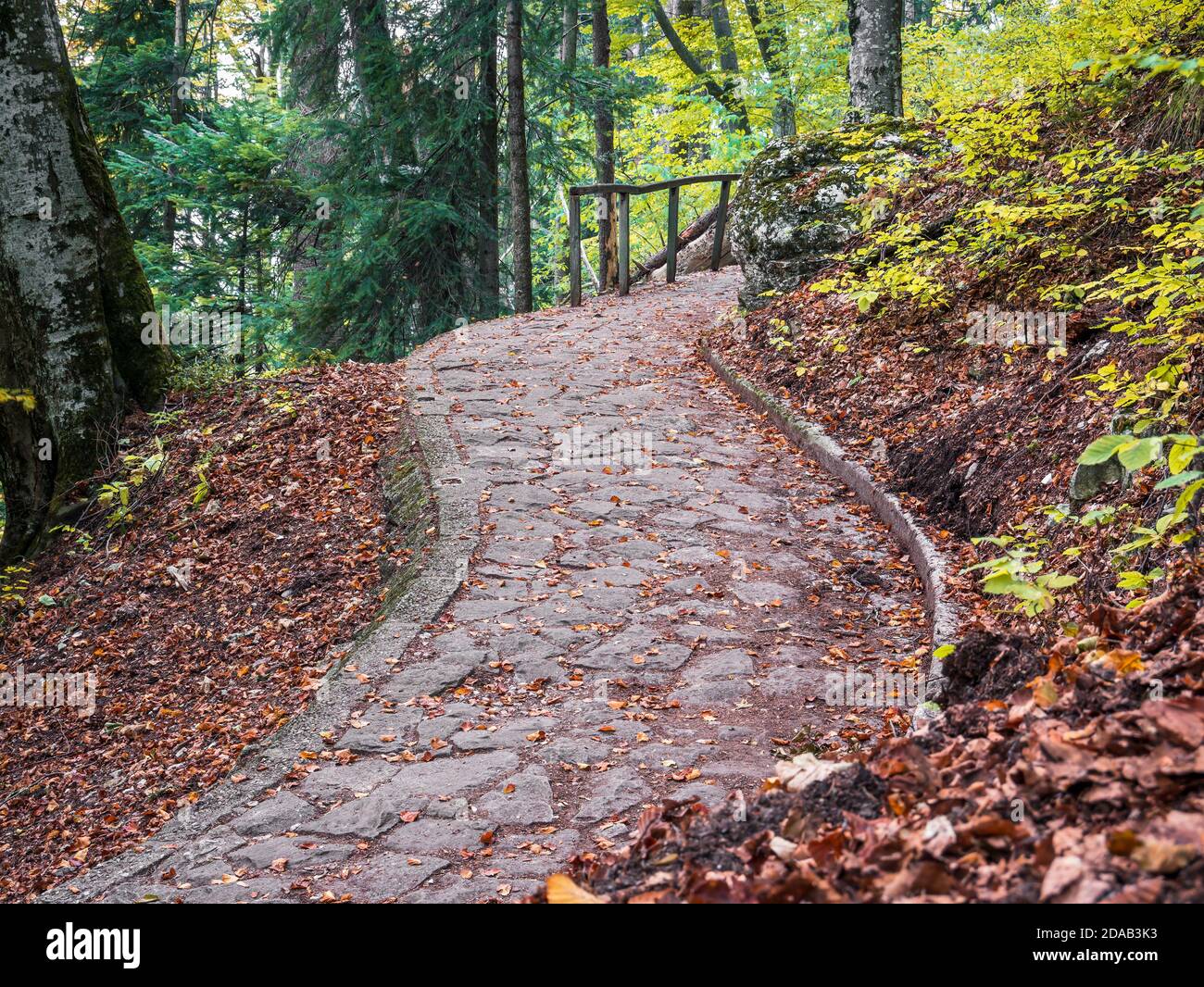 Cobblestone hiking path called Royal Path (Poteca Regala) in Sinaia ...