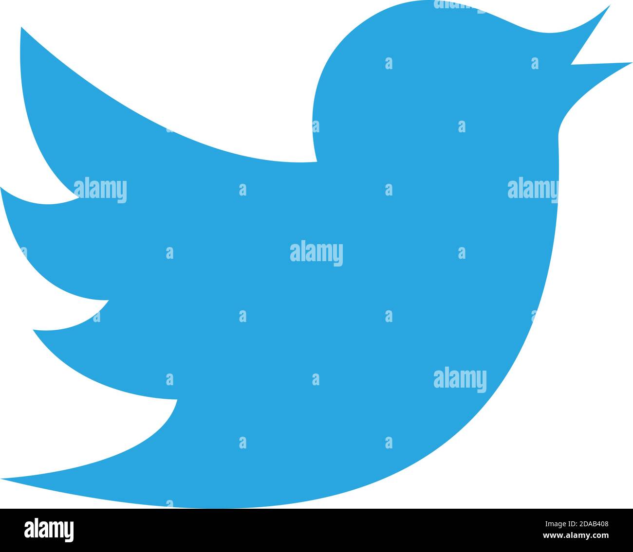 Twitter Logo Flat Vector