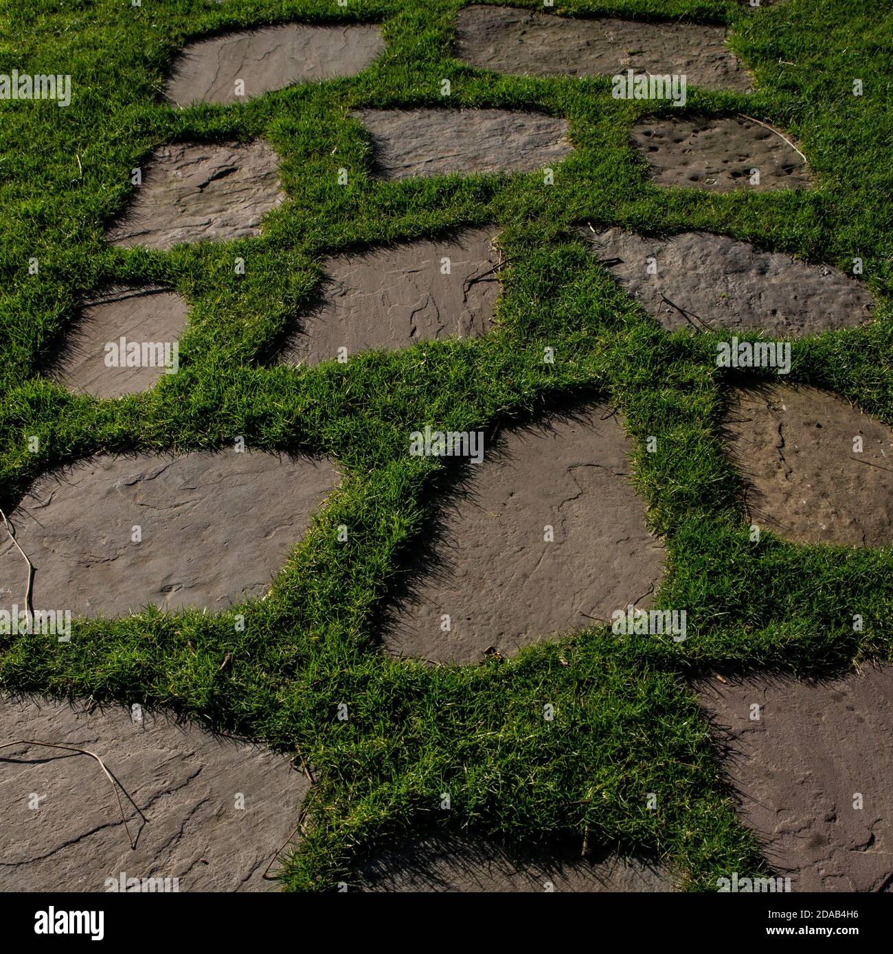 American cemetery Flanders field WWI (Belgium - Waregem Stock Photo - Alamy