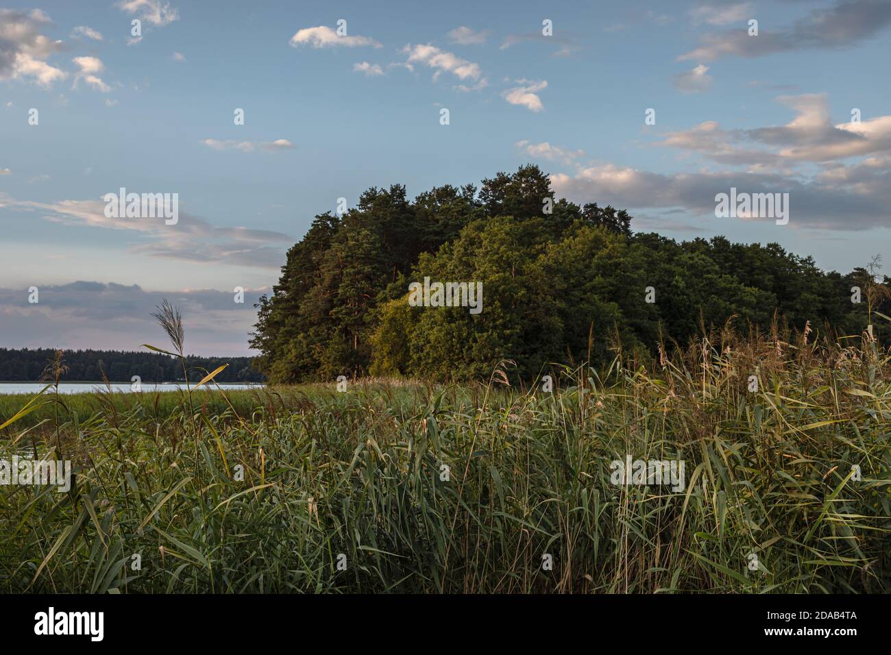 Biale hi-res stock photography and images - Alamy