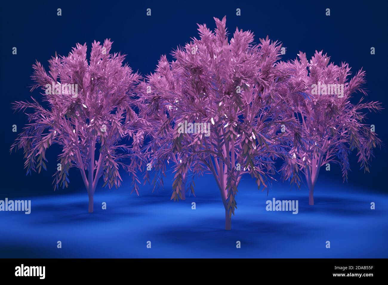 3D illustration of a large deciduous trees under pink and blue light ...