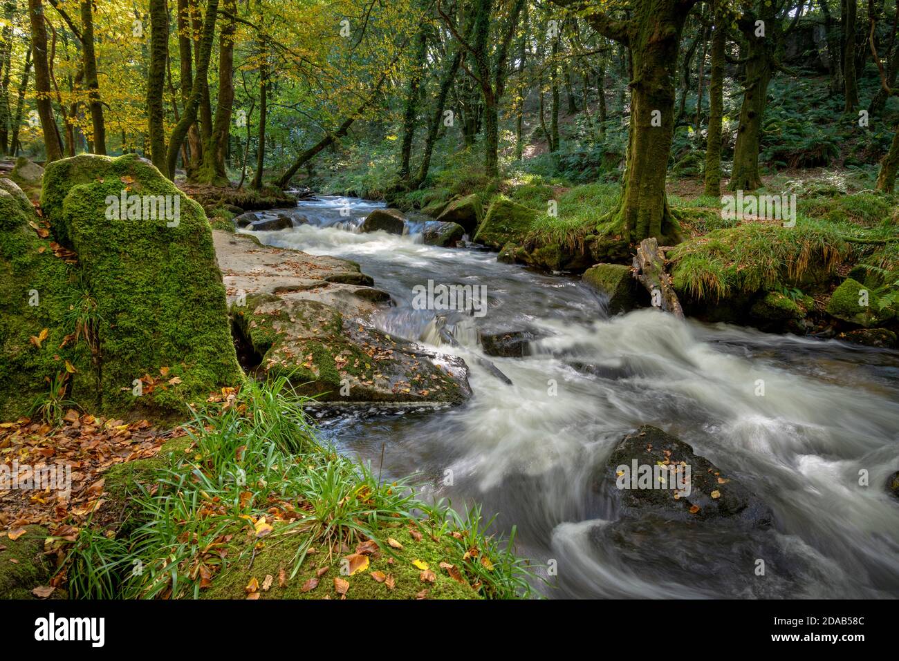 Golitha falls are a set of picturesque but gentle waterfalls where the ...