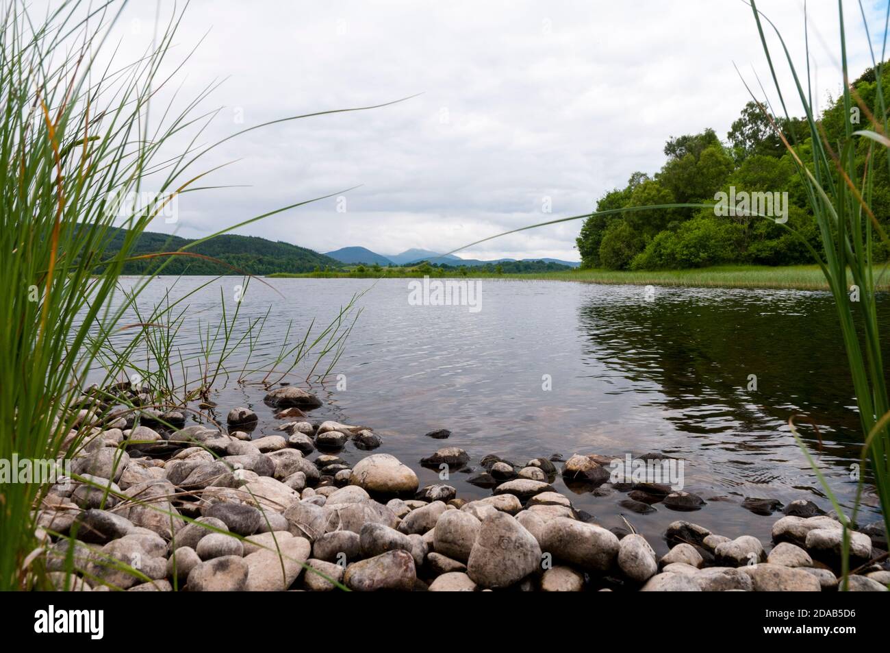 Kincraig hi-res stock photography and images - Alamy