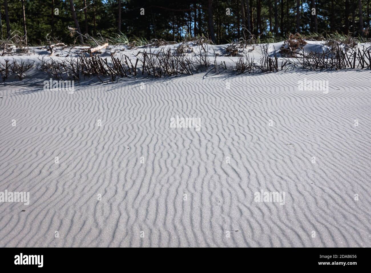 Sand marks on seashore hi-res stock photography and images - Alamy