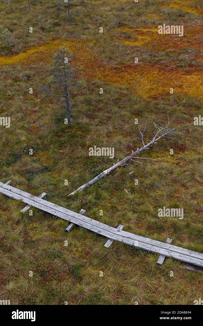 Peat marsh landscape in nature park in Estonia. Cloudy autumn day Stock ...