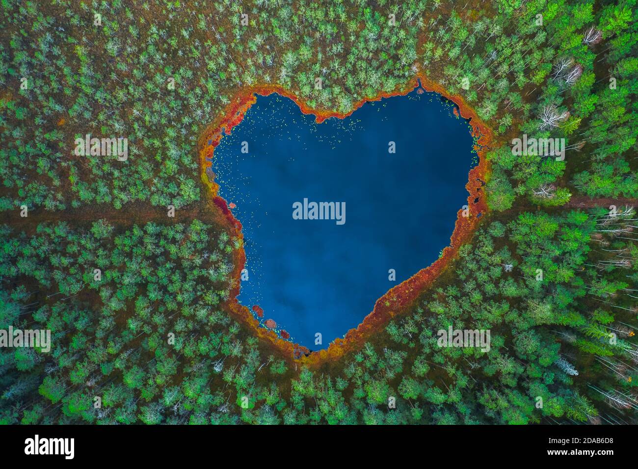 Heart shaped lake in the forest, aerial view Stock Photo - Alamy