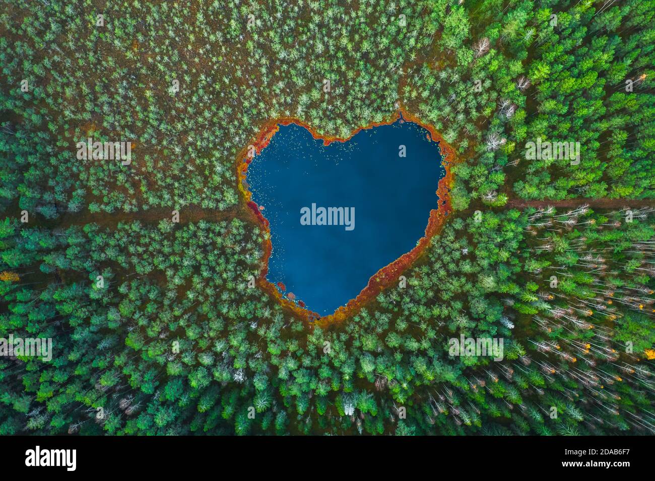 Heart shaped lake in the forest, aerial view Stock Photo - Alamy