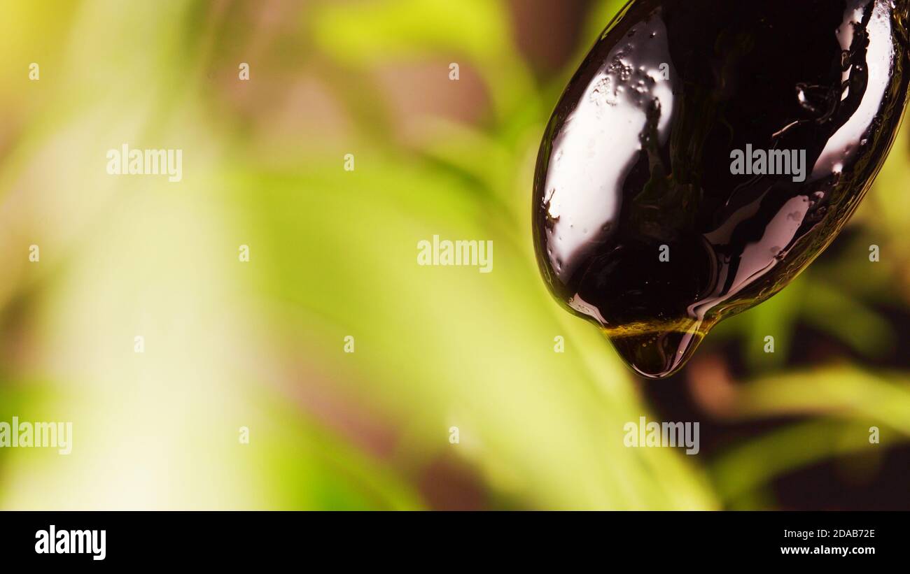 Drop of olive oil drips from black olive Stock Photo - Alamy
