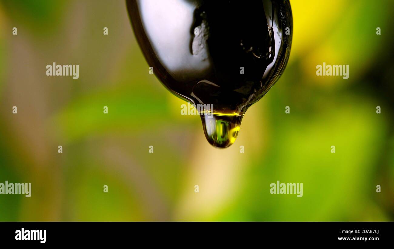 Drop of olive oil drips from black olive Stock Photo - Alamy