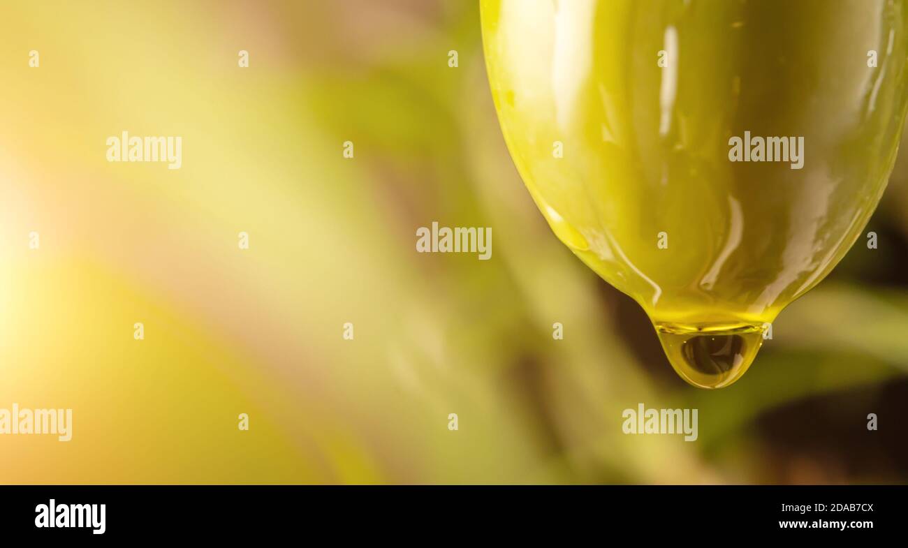 Drop of olive oil drips from green olive Stock Photo - Alamy