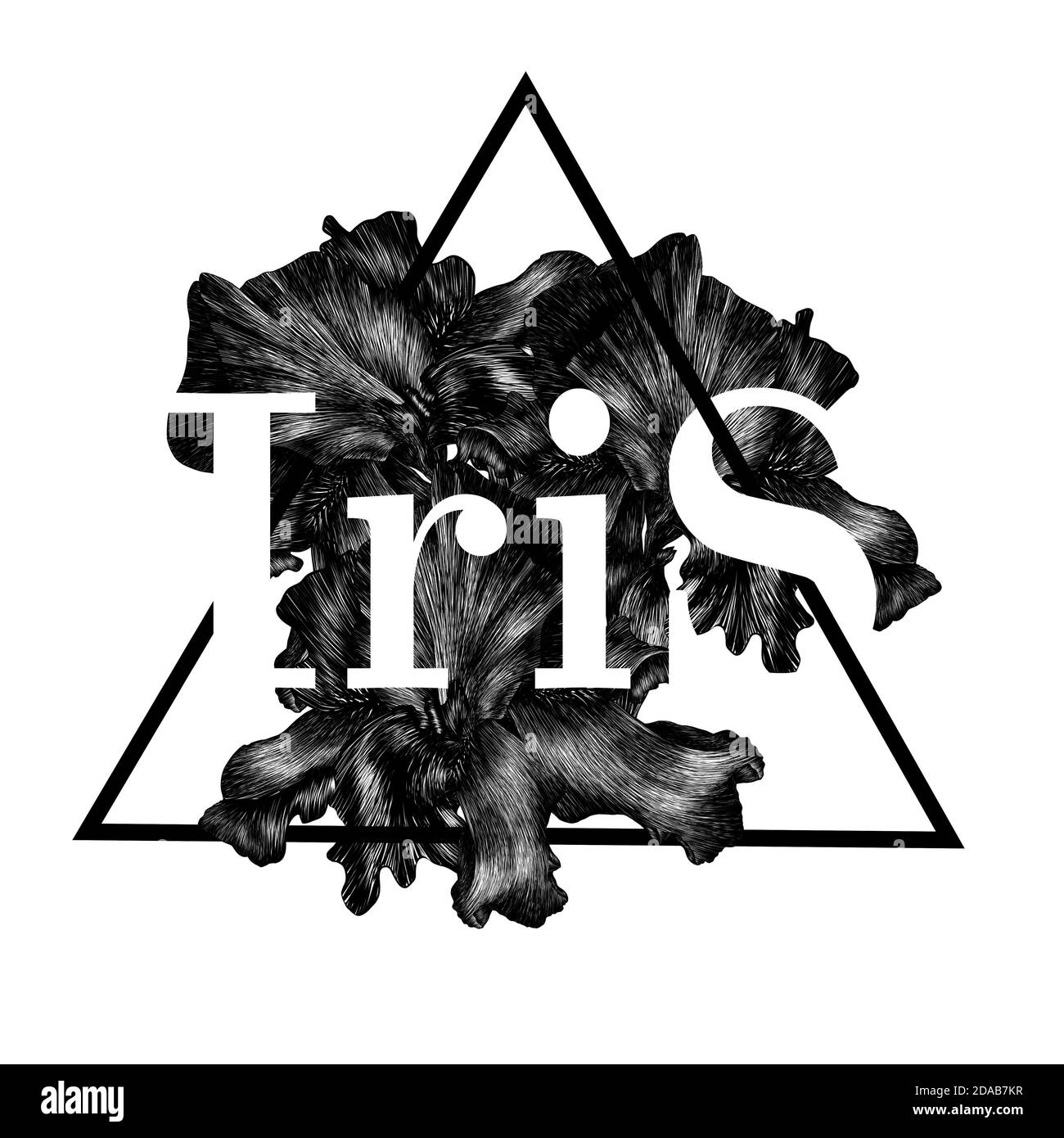 Triangle Logo High Resolution Stock Photography and Images - Alamy