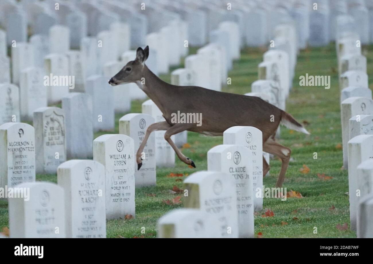 Lines of headstones hi-res stock photography and images - Alamy