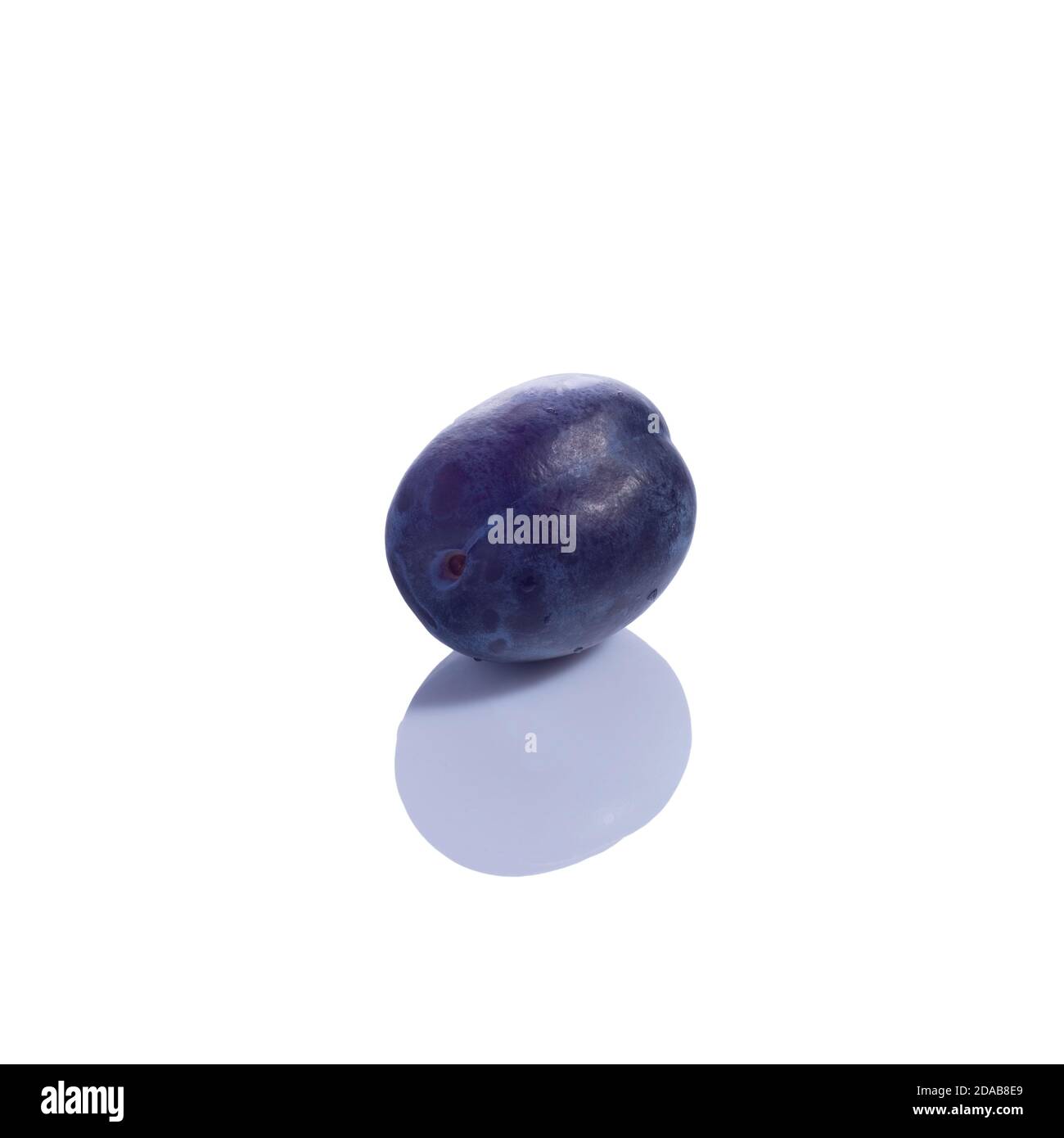 fruit fruit of blue plum, isolated on white background One Single Plum ...