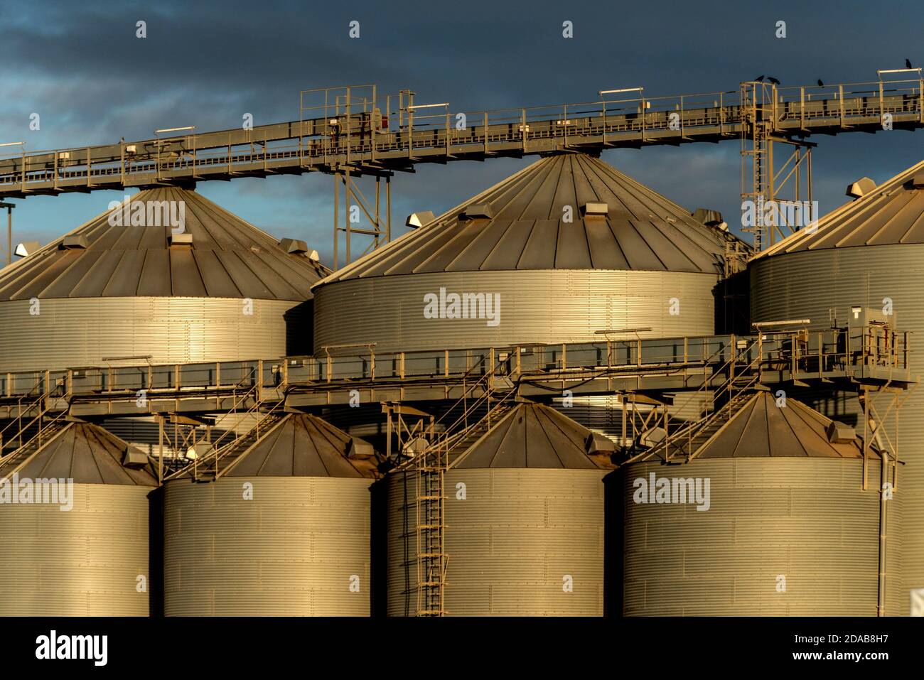 10th november 2020 hi-res stock photography and images - Alamy