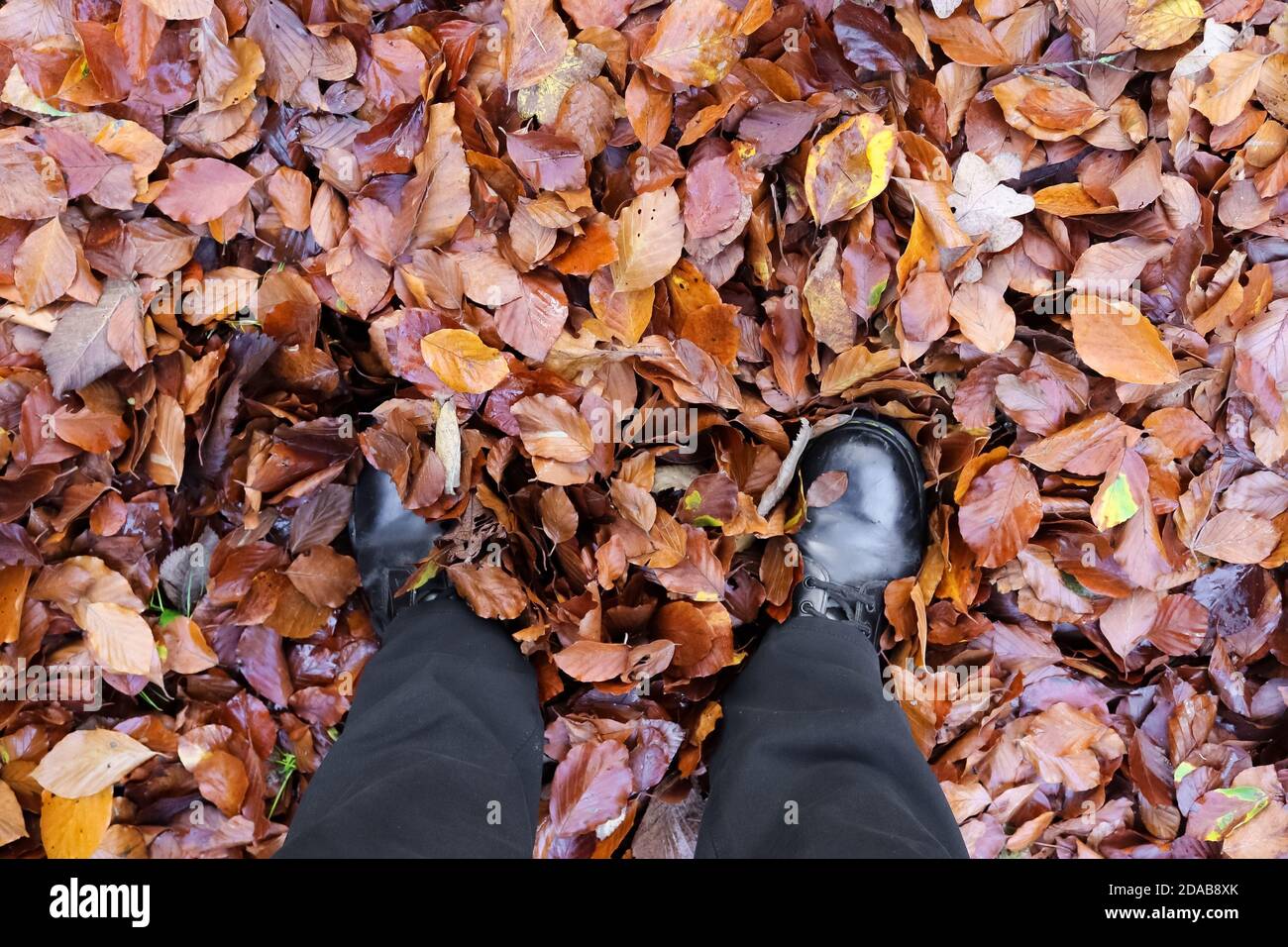 Top view shot of a person's legs in leaf foliage Stock Photo - Alamy