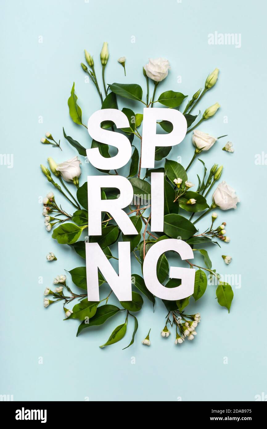 Creative layout from Paper word Spring, green leaves and flower buds on ...