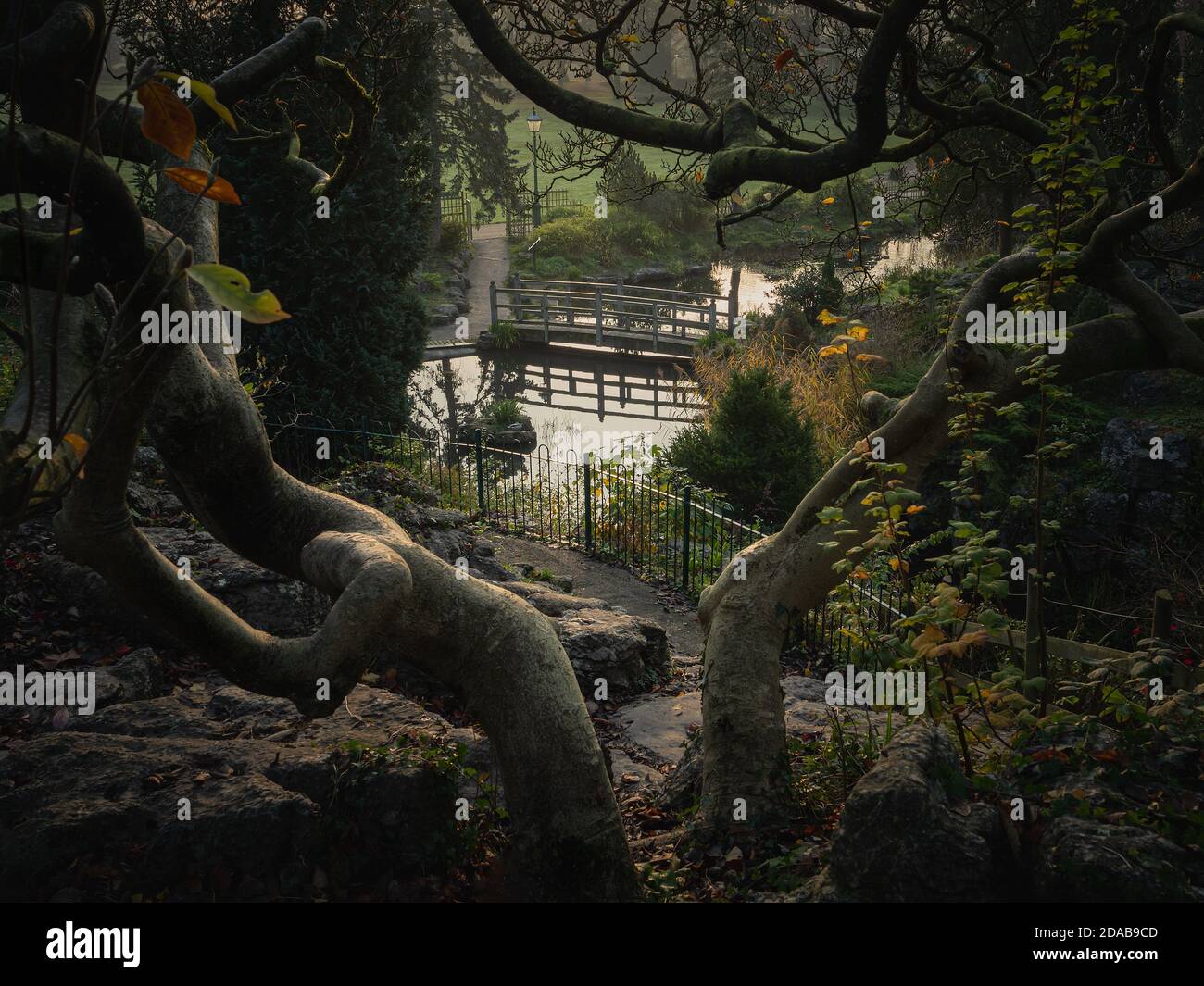 A view of the bridge in the Japanese gardens of Avenham Park through a ...