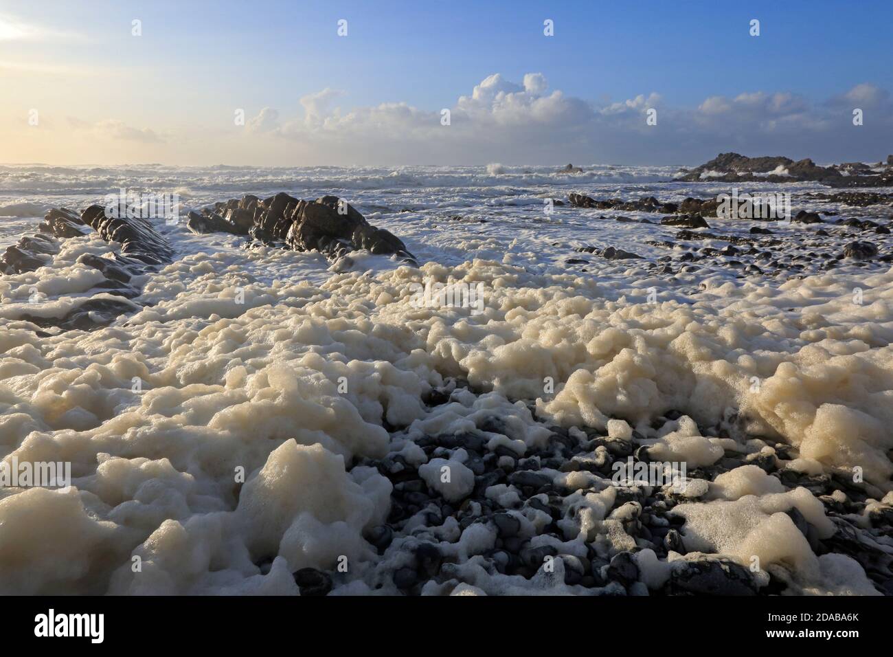 Sea Spume being blown onto the rocks at Welcombe Mouth during a storm ...