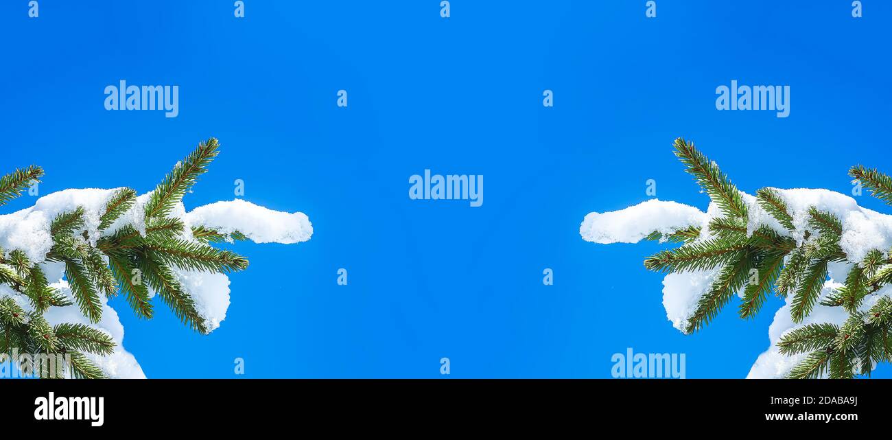 Symmetrical nature hi-res stock photography and images - Alamy