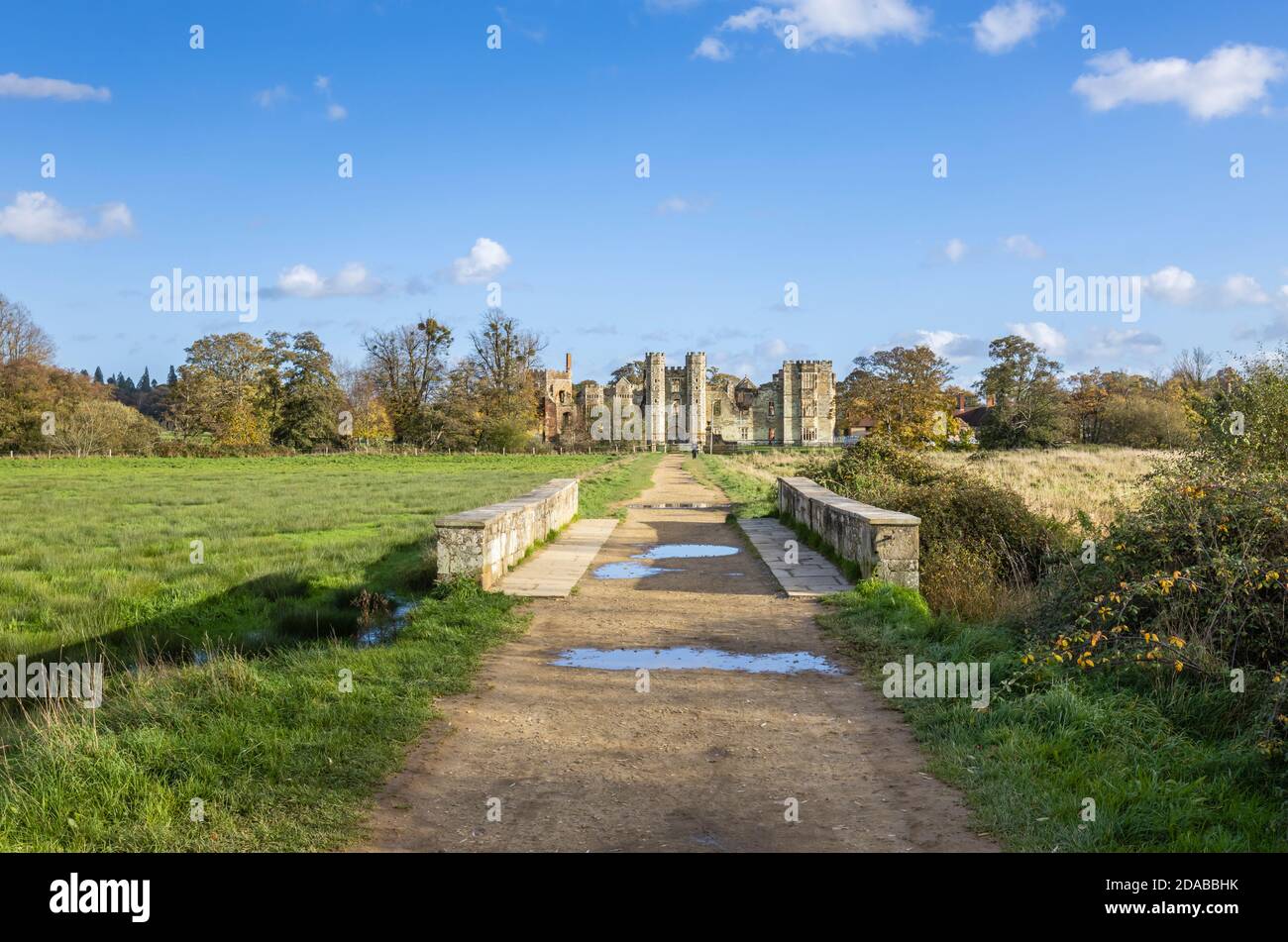 The ruins of Cowdray House (or Castle) a Tudor manor house at Cowdray ...