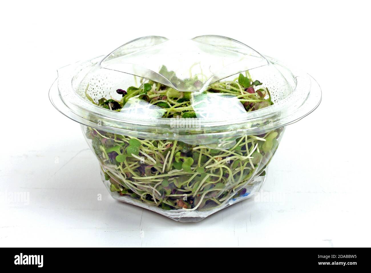 Growing microgreens Cut Out Stock Images & Pictures - Alamy