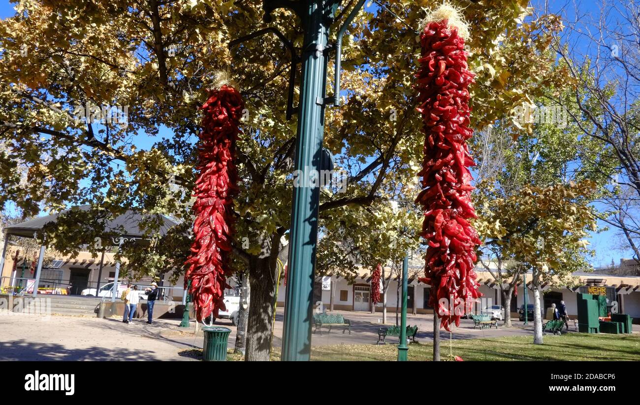 The Santa Fe Grande chile pepper, also known as "Yellow hot chili ...