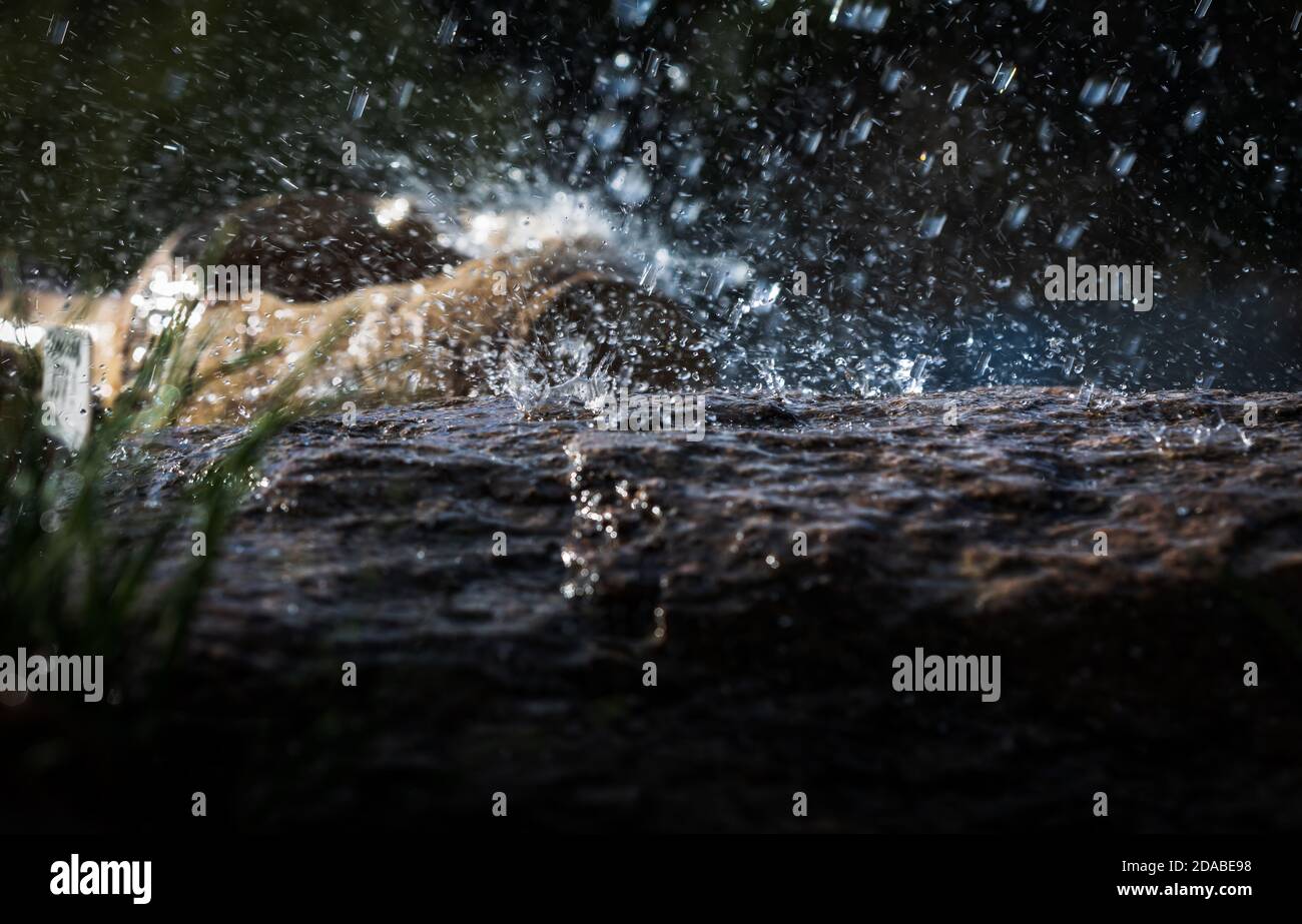 Wet stone and decorative antique urn in the rain. Rain water drop ...