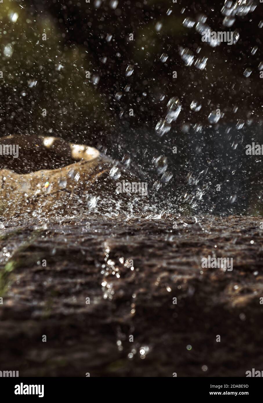 Wet stone and decorative antique urn in the rain. Rain water drop ...