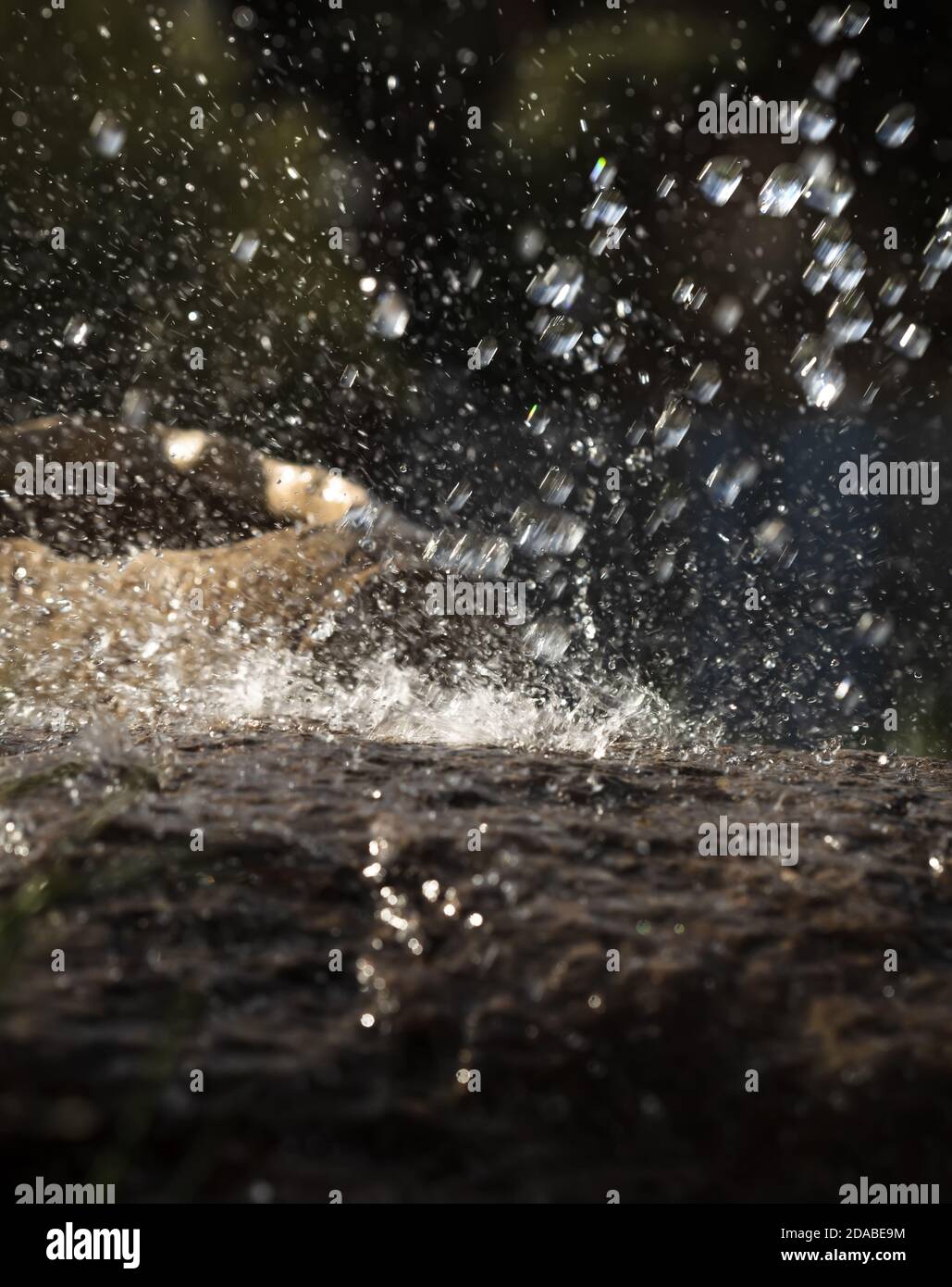 Wet stone and decorative antique urn in the rain. Rain water drop ...