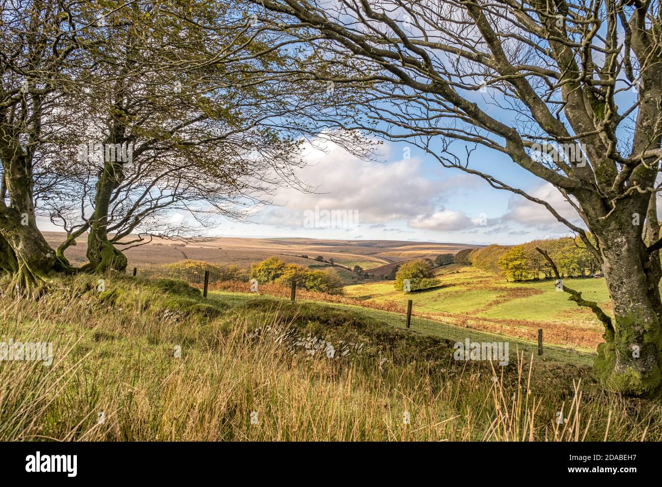 Golden Trout National Park High Resolution Stock Photography and Images ...