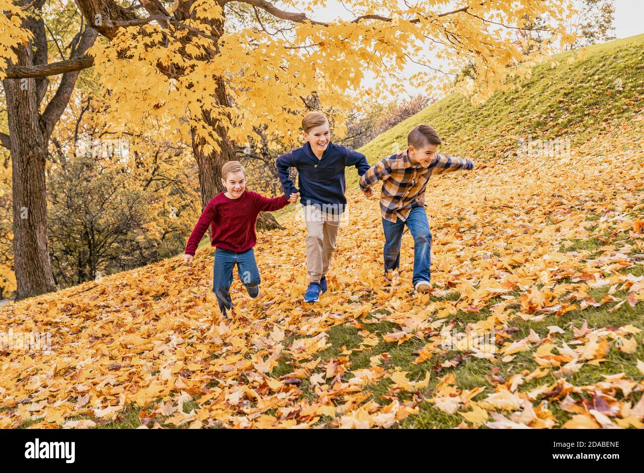 kids in autumn forest having great time together Stock Photo - Alamy