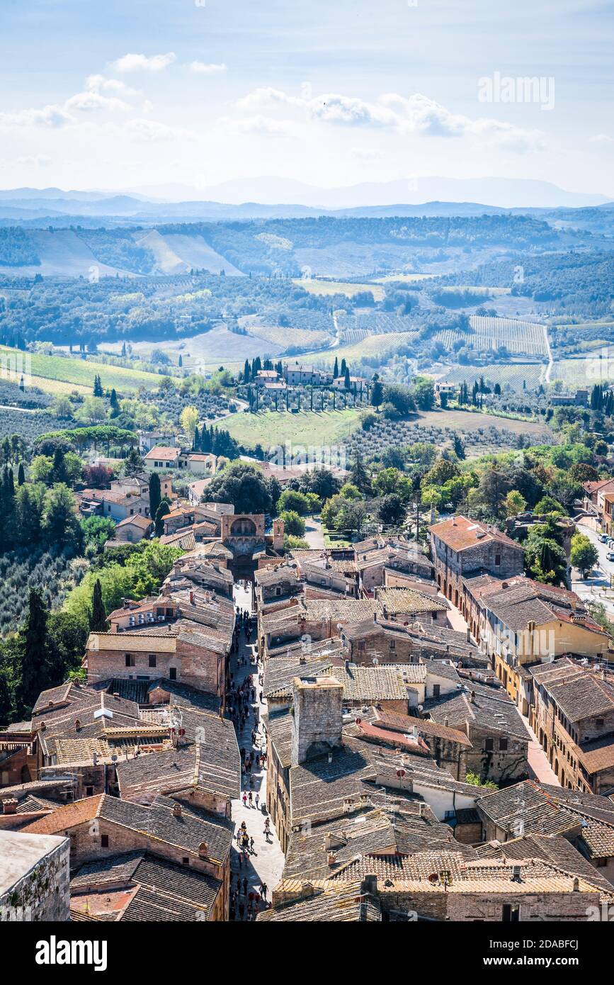 Aerial view of the fields with vineyards, olive groves and cypresses in ...