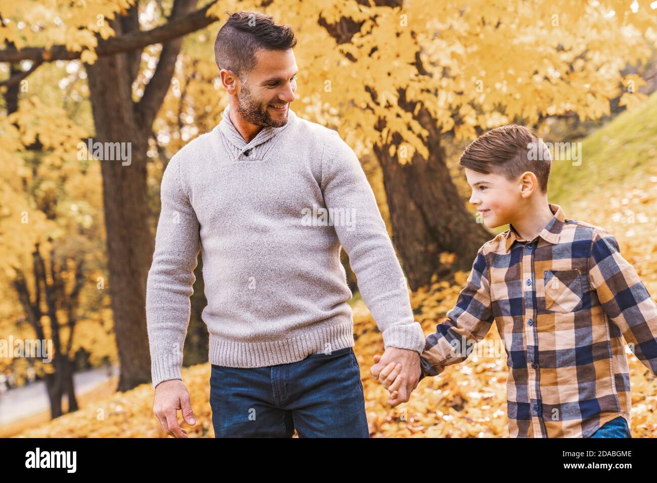 Happy family father and child boy in the autumn leaf fall in park ...
