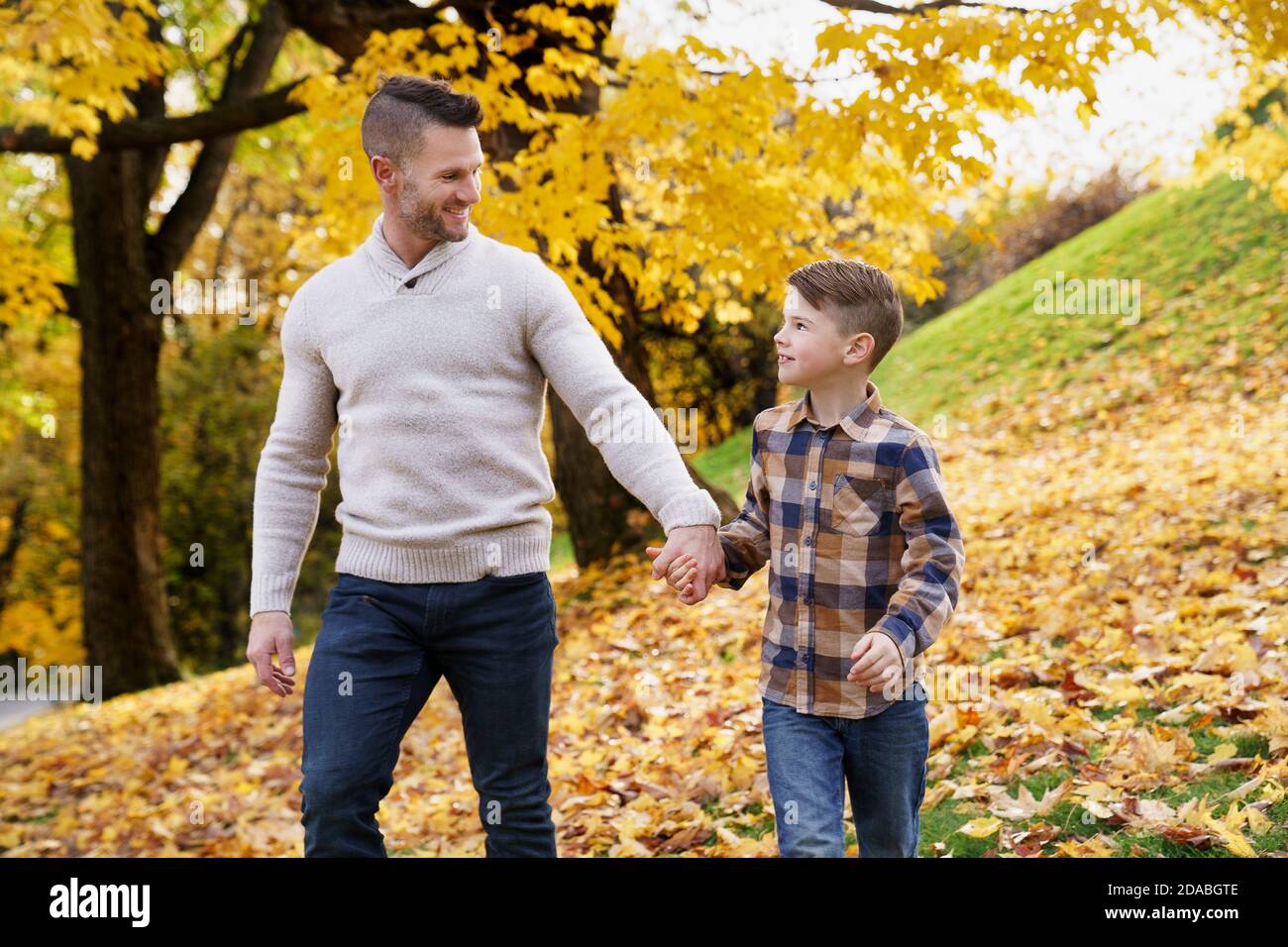 Happy family father and child boy in the autumn leaf fall in park ...