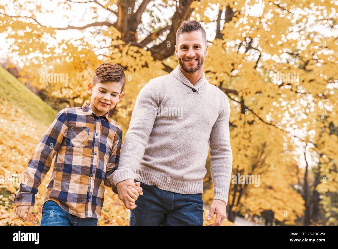 Happy family father and child boy in the autumn leaf fall in park ...