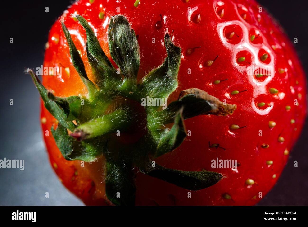 Strawberry Still Life Stock Photo - Alamy