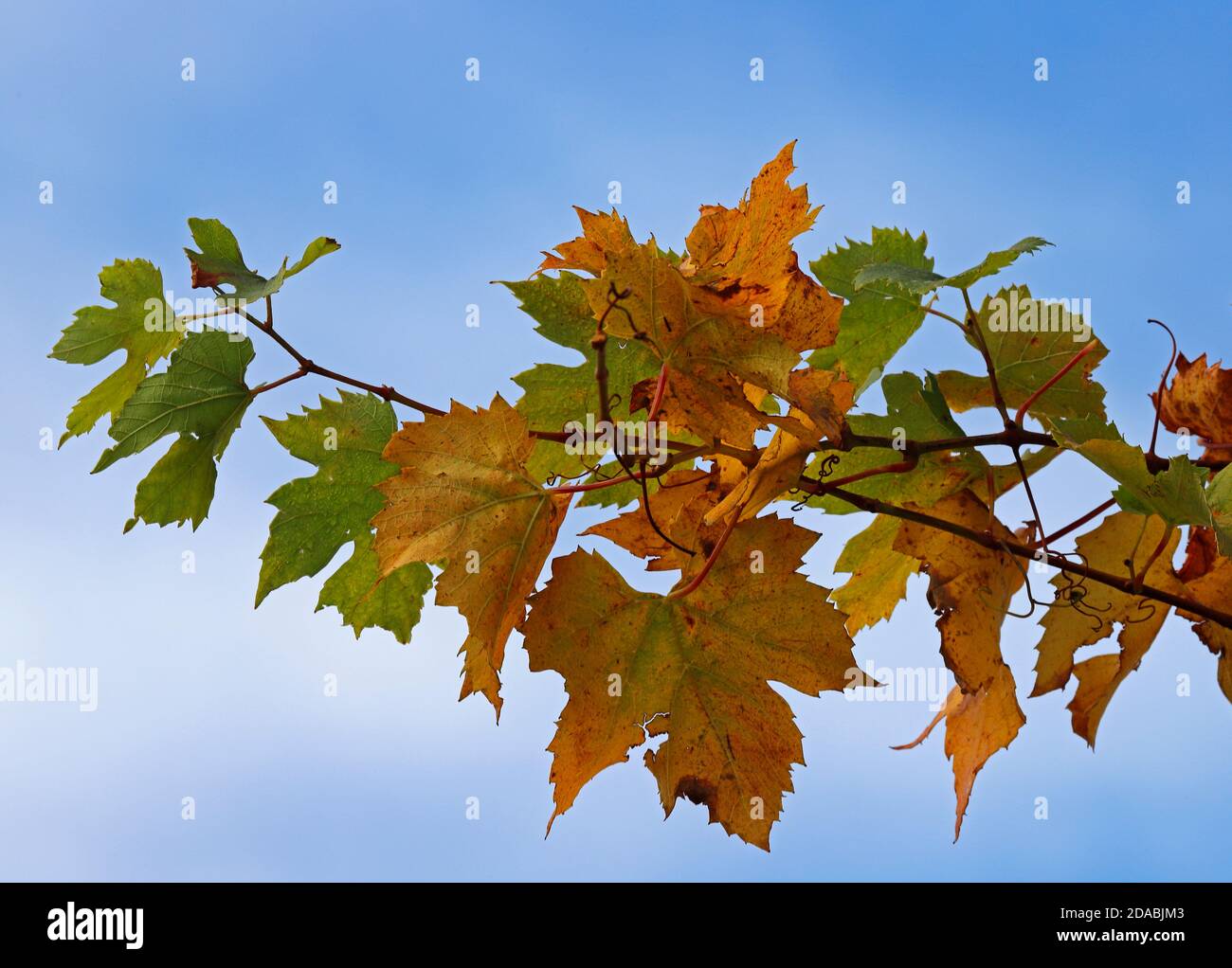 Changing colour hi-res stock photography and images - Alamy