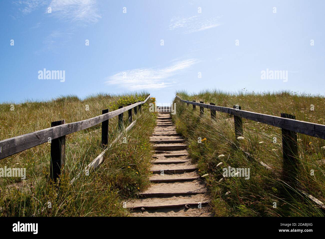 Wooden stairs surrounded with green grass that lead to a sand beach in ...