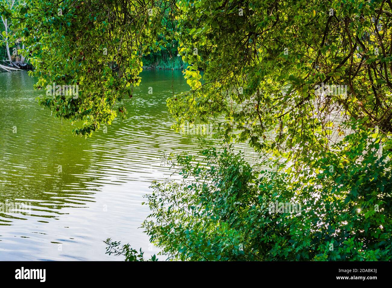 Arga river as it passes through the village. French Way, Way of St ...