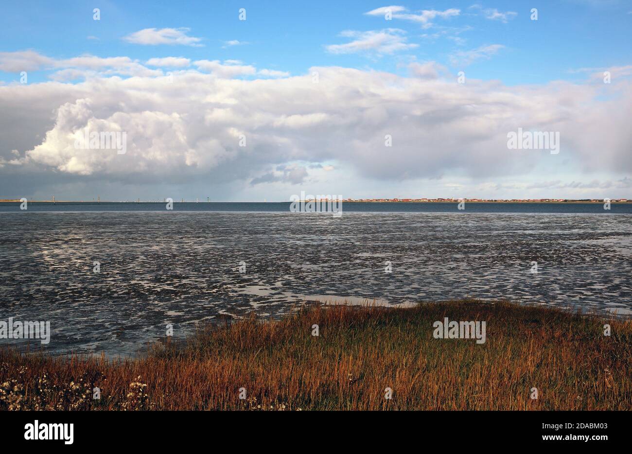Wadden see national park hi-res stock photography and images - Alamy