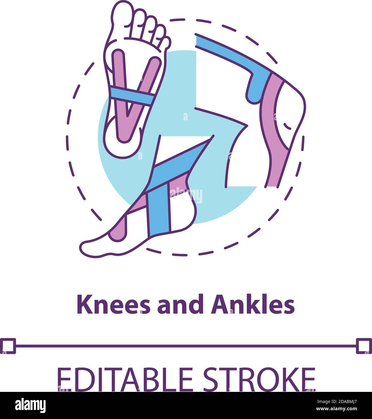 Knees and ankles concept icon Stock Vector Image & Art - Alamy