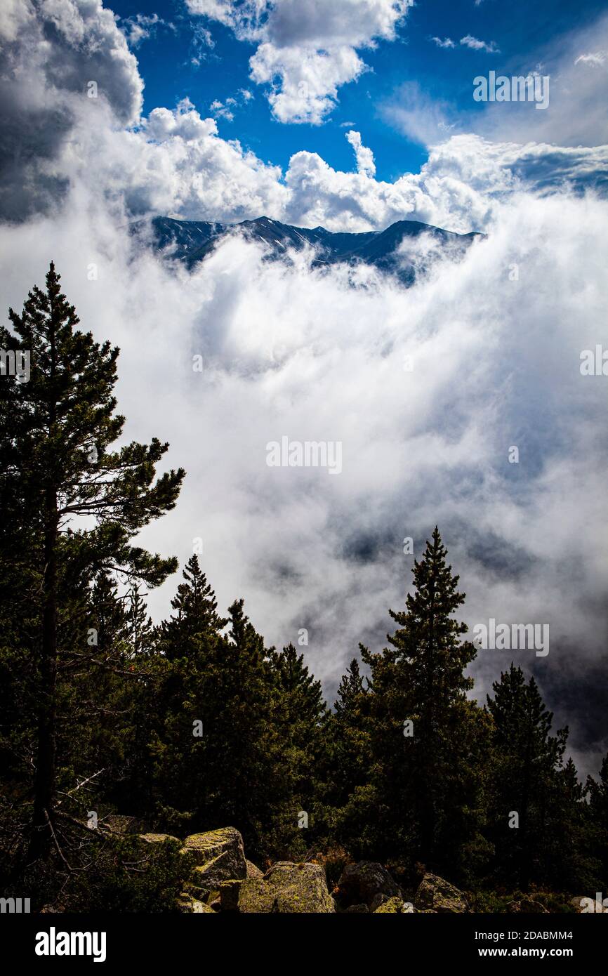 Reserve naturelle nationale de mantet hi-res stock photography and ...