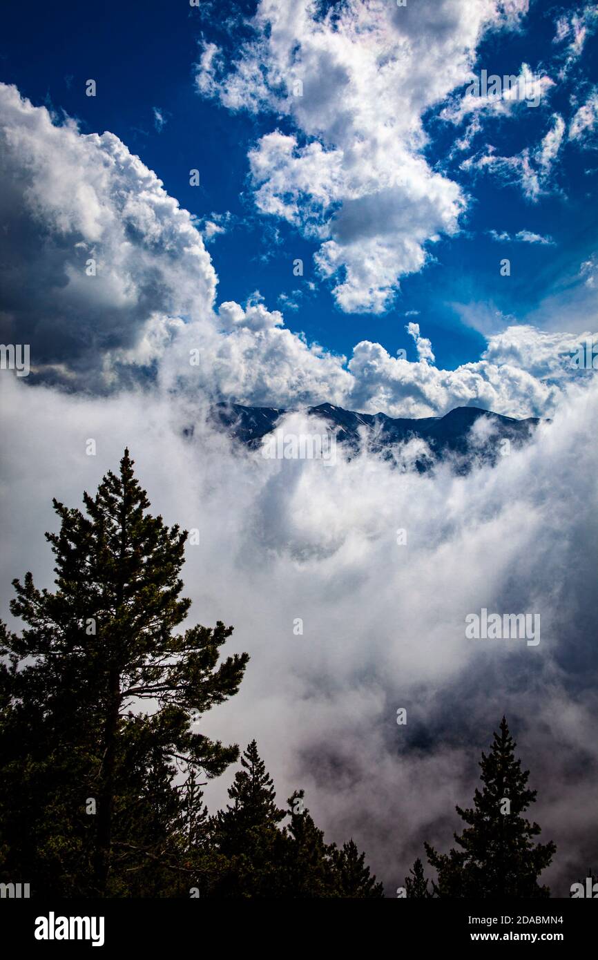 Reserve naturelle nationale de mantet hi-res stock photography and ...