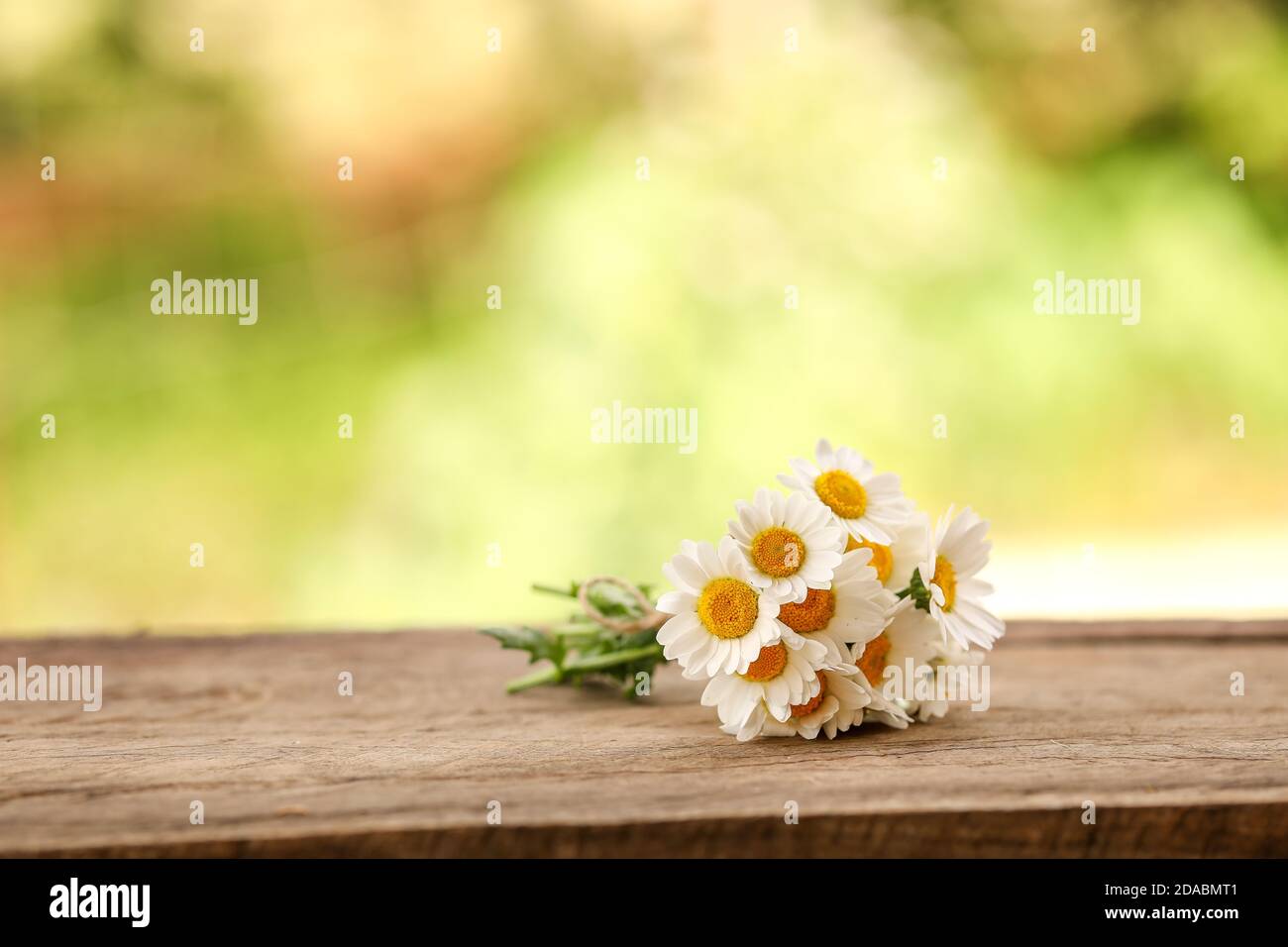 Srting hi-res stock photography and images - Alamy