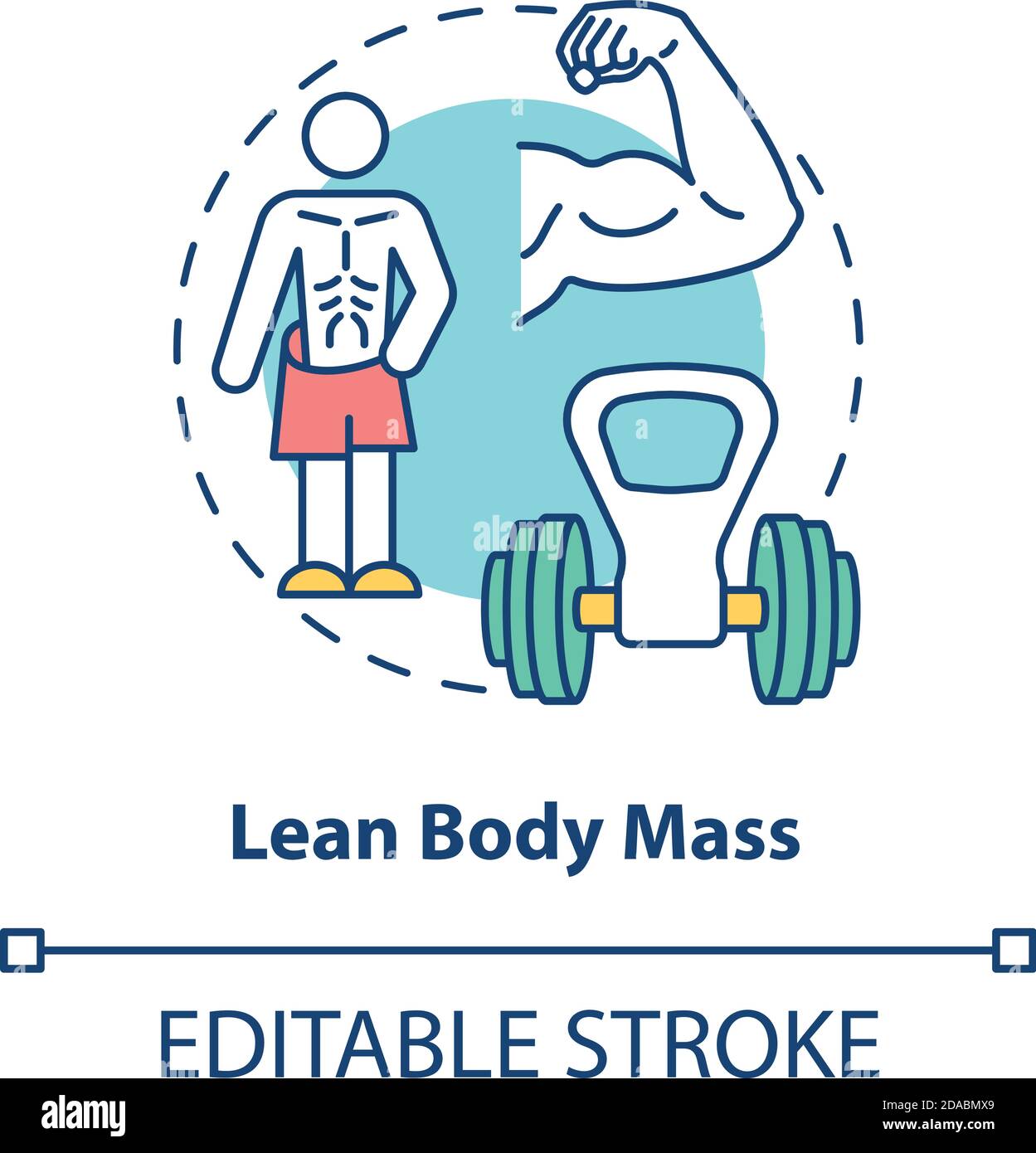 Lean body mass concept icon Stock Vector Image & Art - Alamy