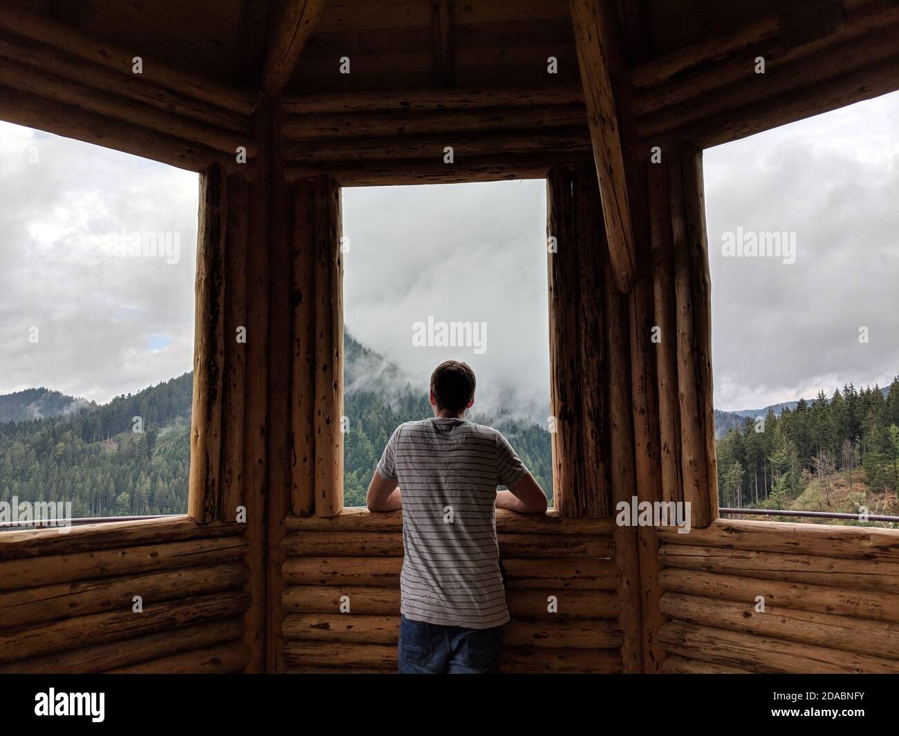 Back view of man looking at the window with mountain forest background ...