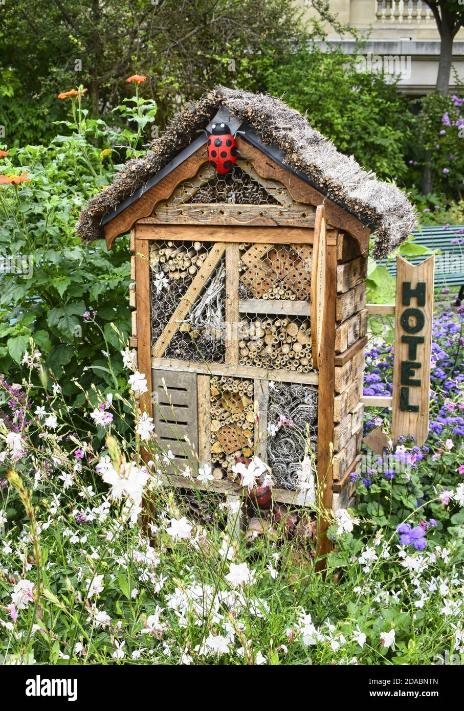 Ladybug insect hotel hi-res stock photography and images - Alamy