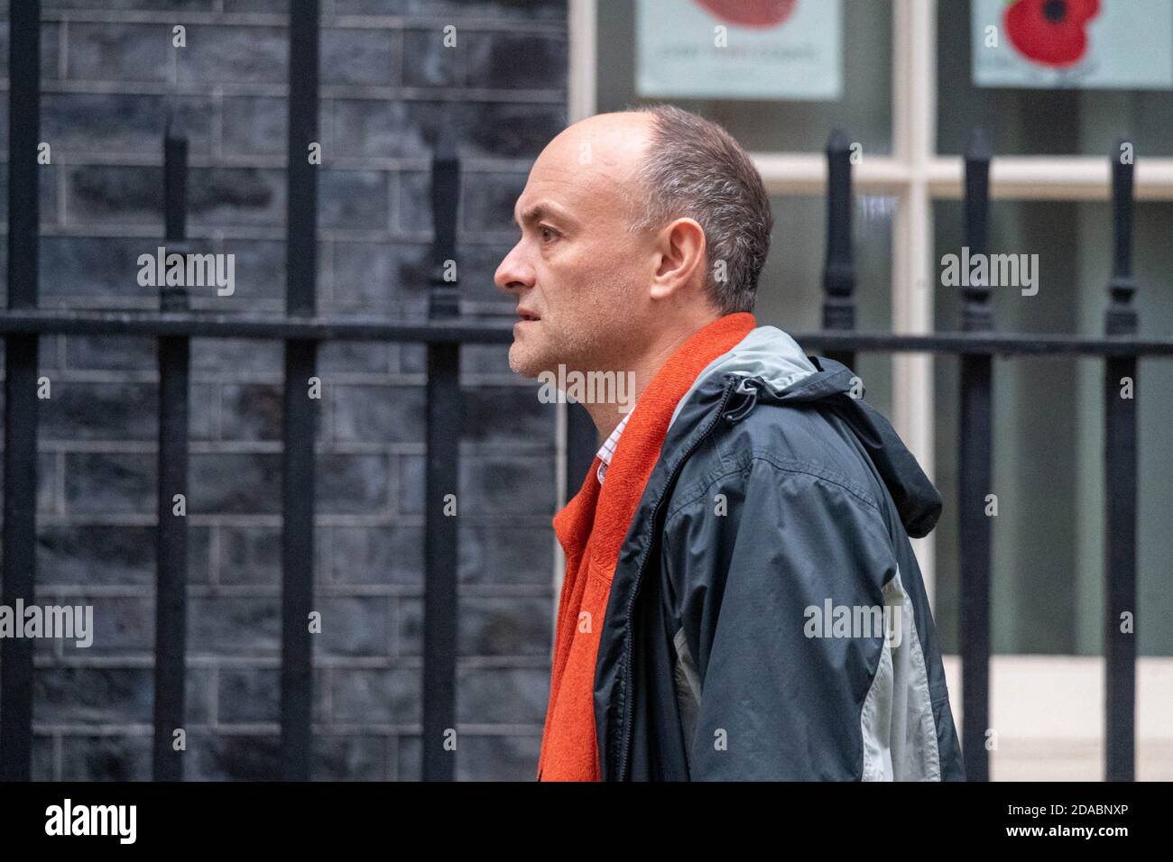 London, UK. 11th Nov, 2020. Dominic Cummings in Downing Street London ...